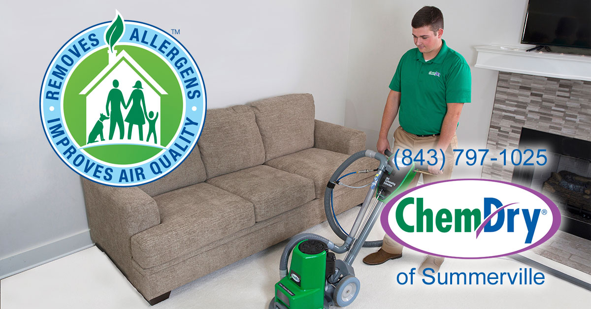 Remove Allergens | Chem-Dry of Summerville | Drier, Cleaner & Healthier